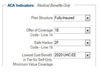 How to use the ACA Section 6056 Form 1095-C Employee Audit Report