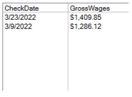 Reviewing Employee's Check History