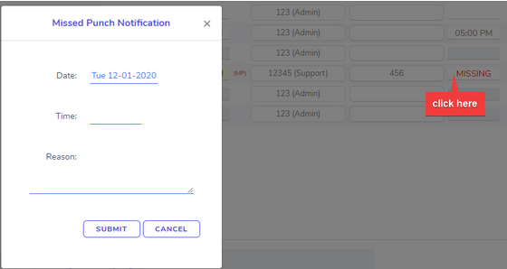 TimeCo Employee Web- Punch Instructions