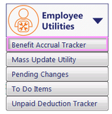 View Accrual Balance Details